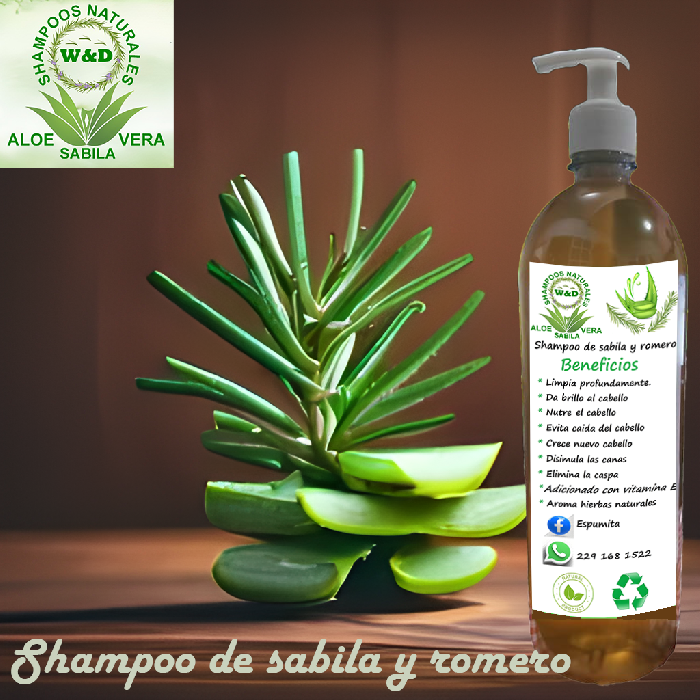 Set de shampoo de sabila y romero, Shampoo para cuerpo de sabila ...